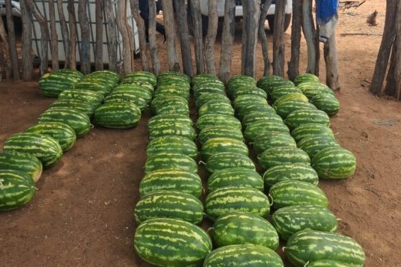 HOSPITAL PEDALÉ INAUGURADO: NOVA ERA PARA A SAÚDE PÚBLICA EM ANGOLA ...